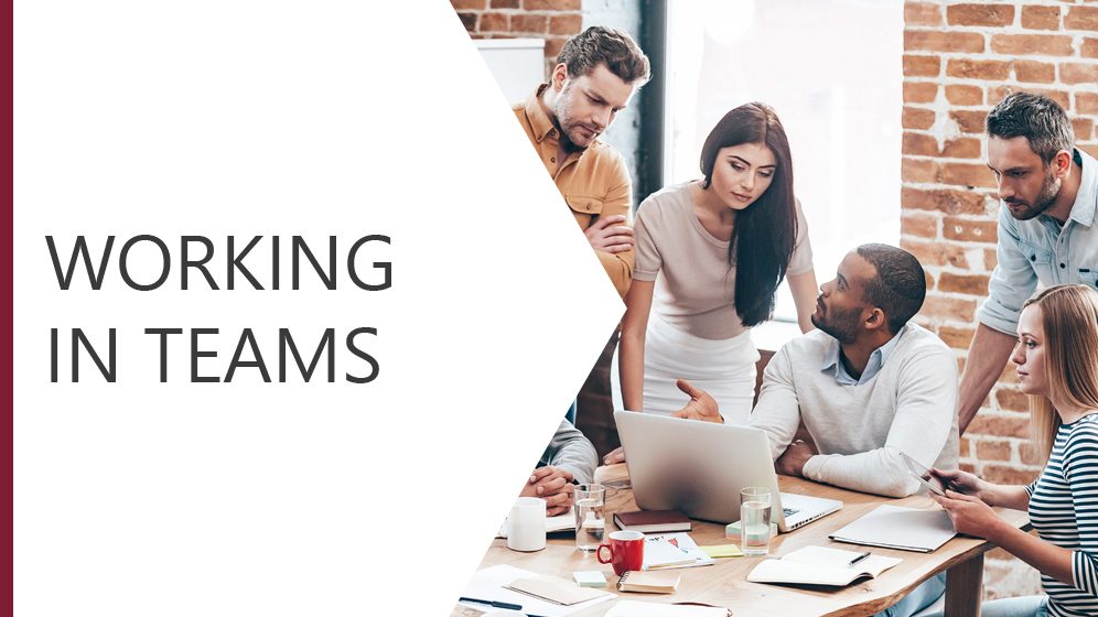 Teamwork - Bite Size