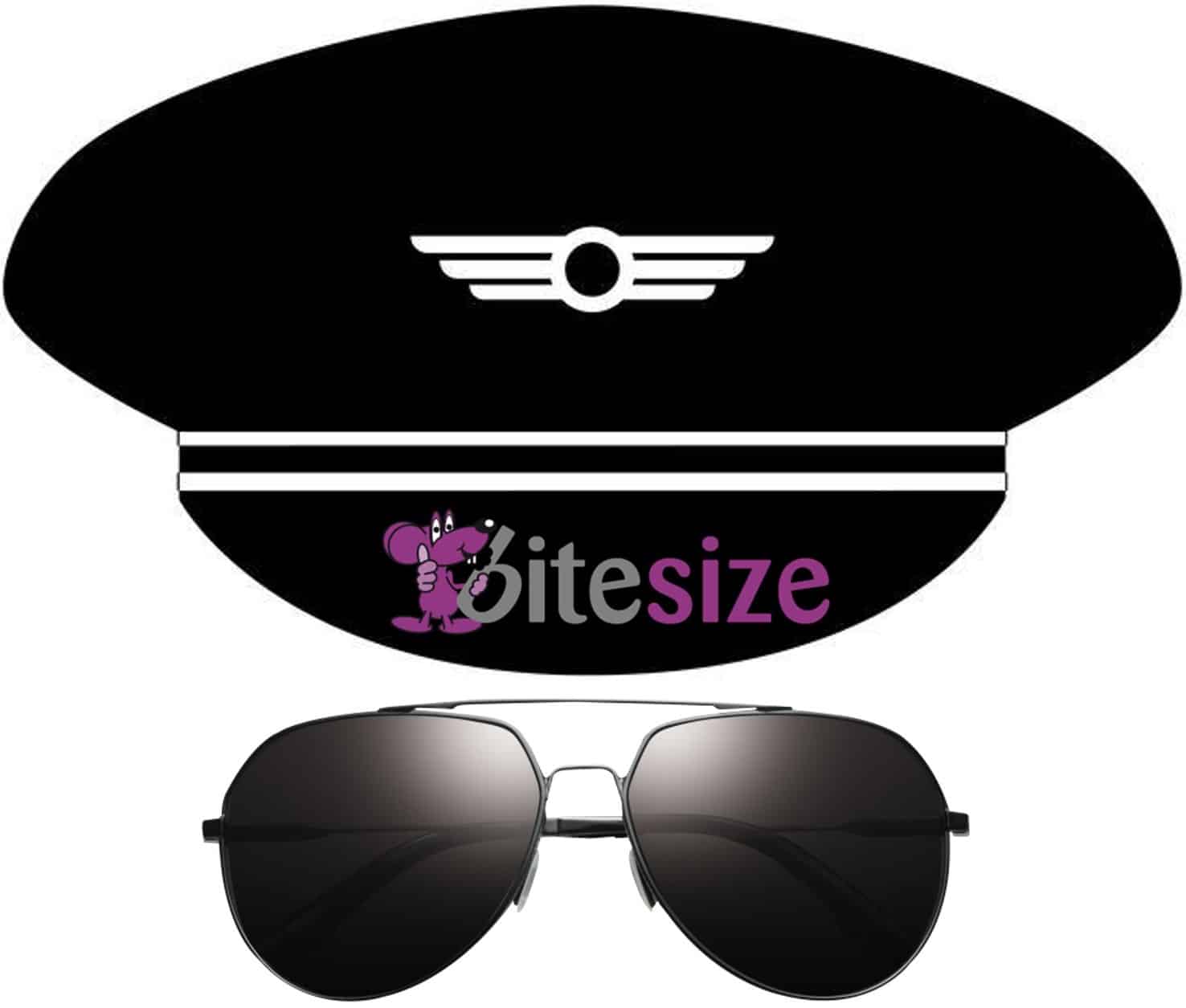 Case Study - Creating a Confident Copilot-ready Workforce - Bite Size
